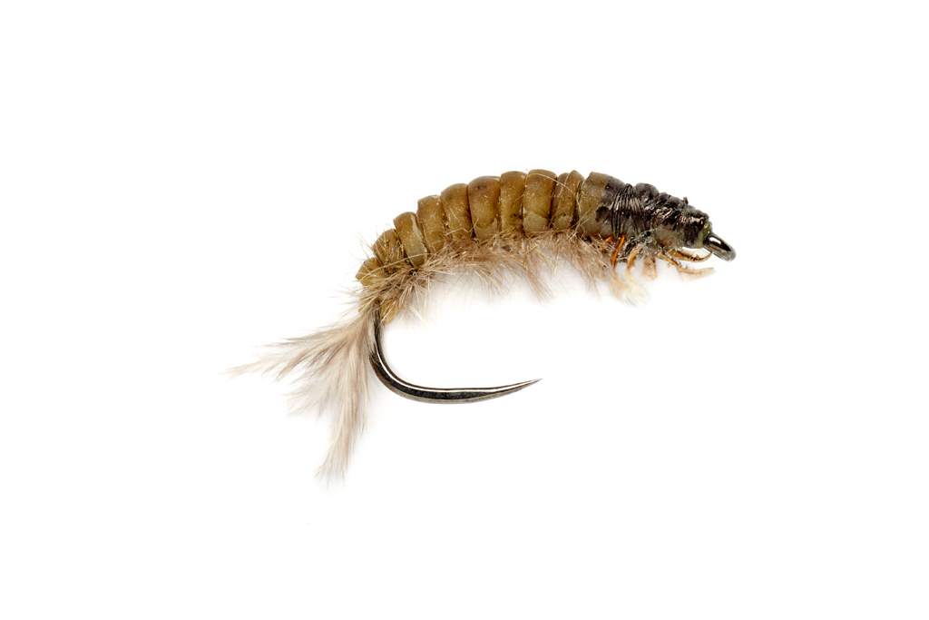 Oliver Edvards Hydropsyche Larva V2 - larva chrostíka - 10 | rybářské ...
