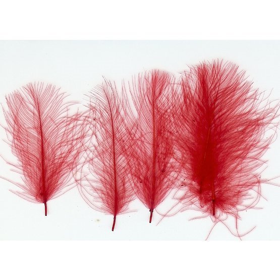 CDC peří 1 gram - Red | rybářské vybavení pro muškaření, přívlač a ...